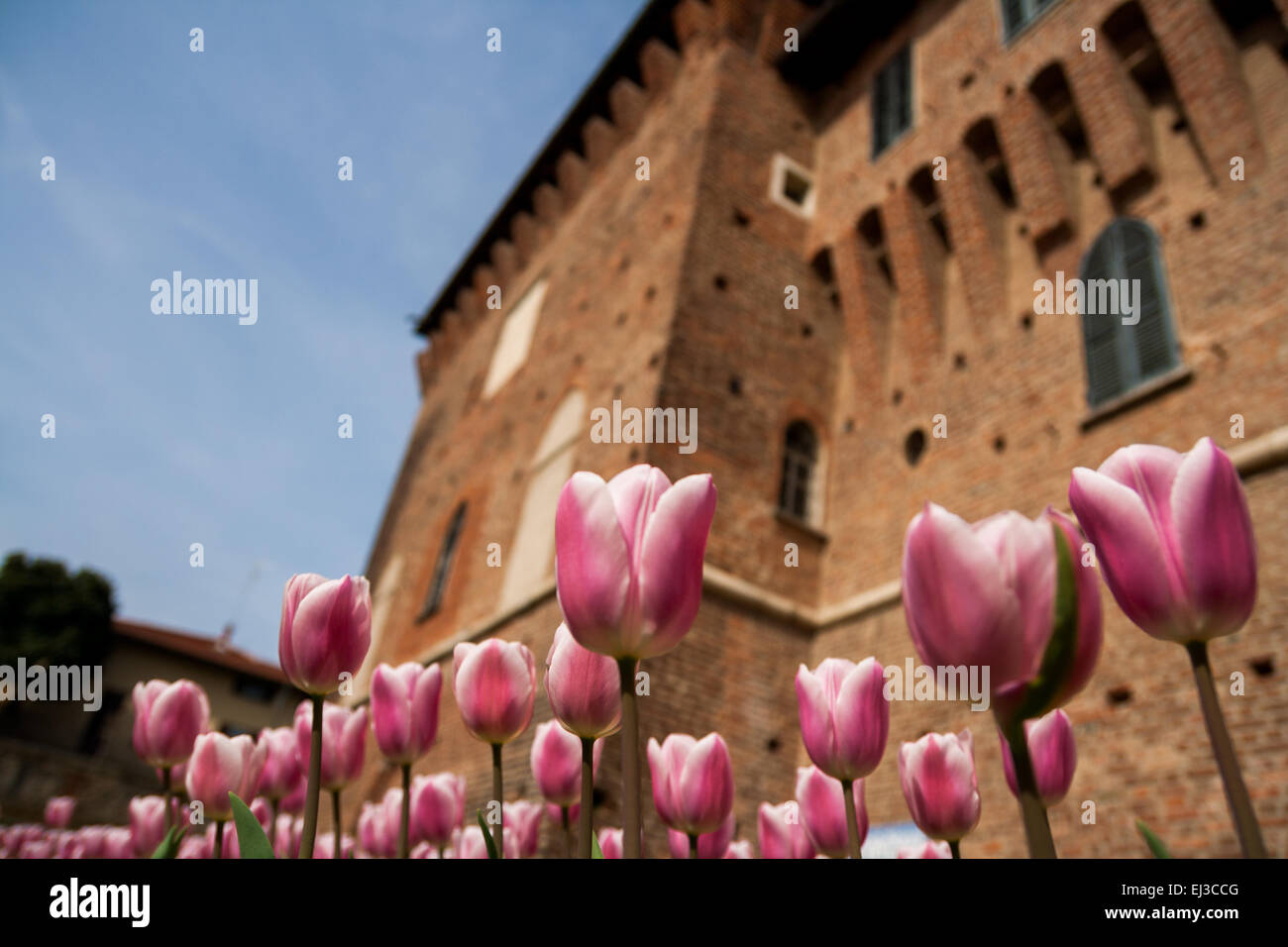 Galliate, Novara, Piedmont, Italy Stock Photo - Alamy
