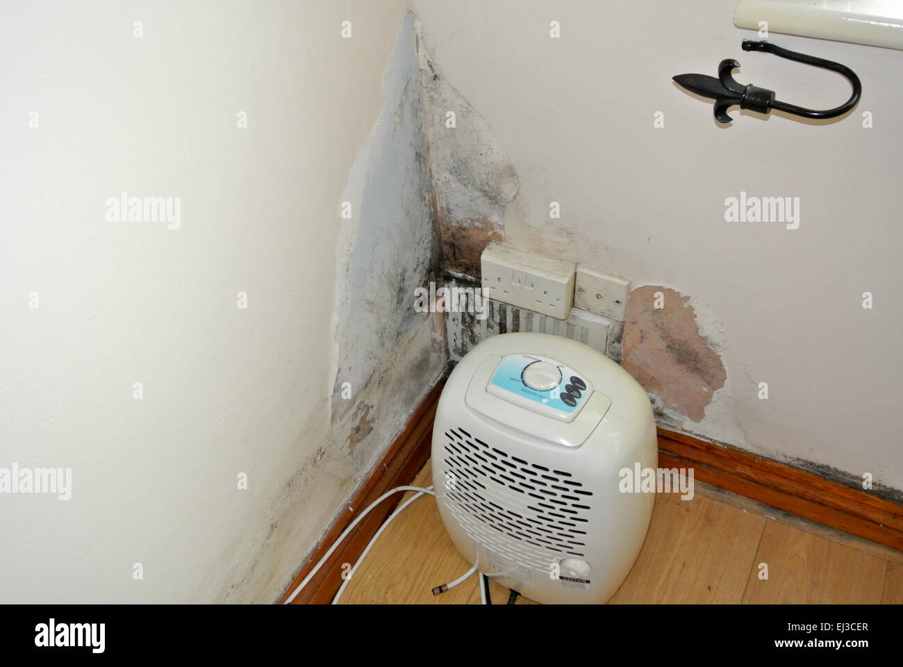 Damp corner hi-res stock photography and images - Alamy