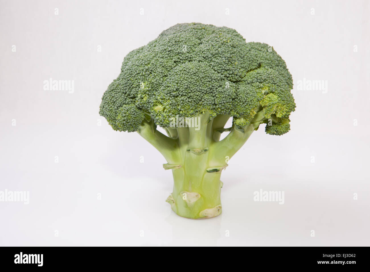Whole broccoli plant set as a tree. Isolated on white background Stock ...