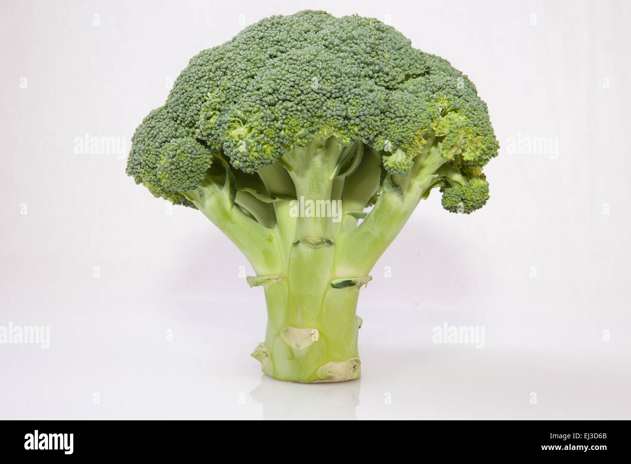 Whole broccoli plant set as a tree. Isolated on white background Stock ...