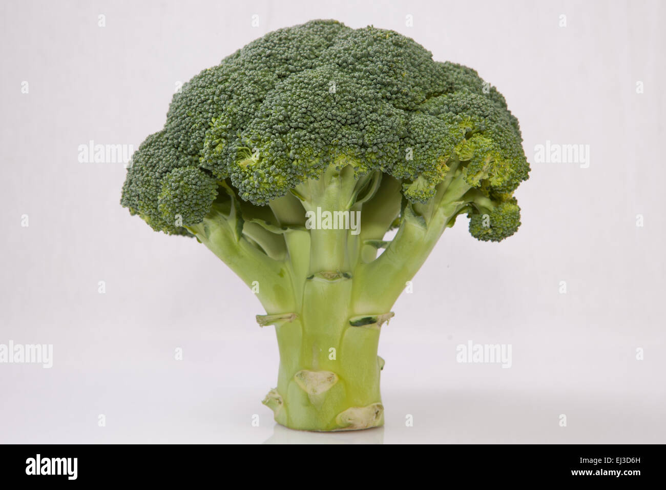 Whole broccoli plant set as a tree. Isolated on white background Stock ...