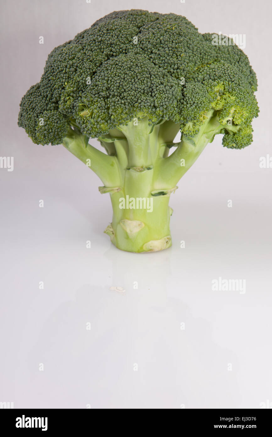 Whole broccoli plant set as a tree. Isolated on white background Stock ...