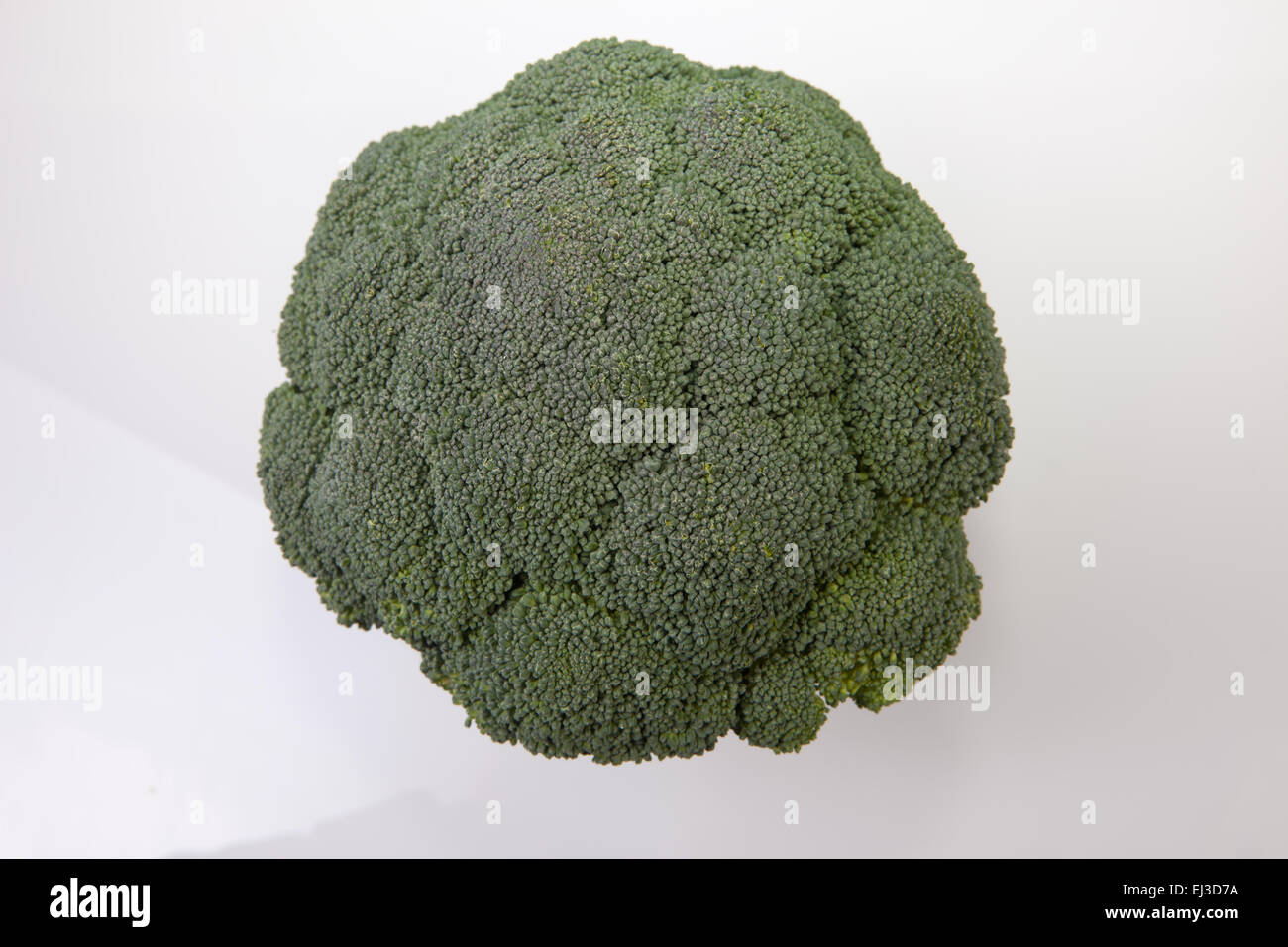 Whole broccoli plant set as a tree. Isolated on white background Stock ...