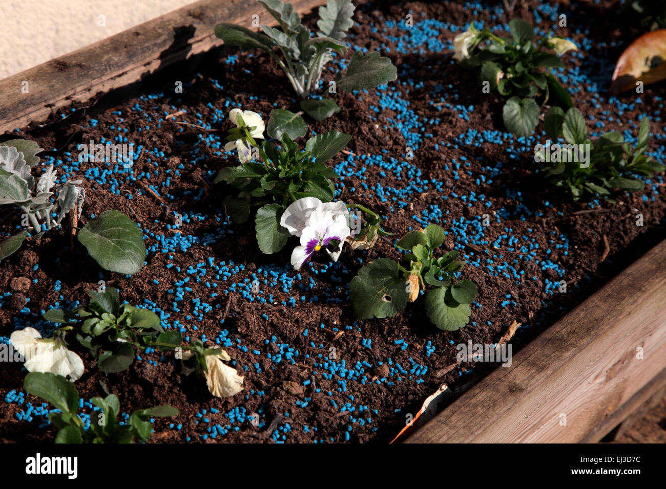 Slug Pellets High Resolution Stock Photography and Images - Alamy