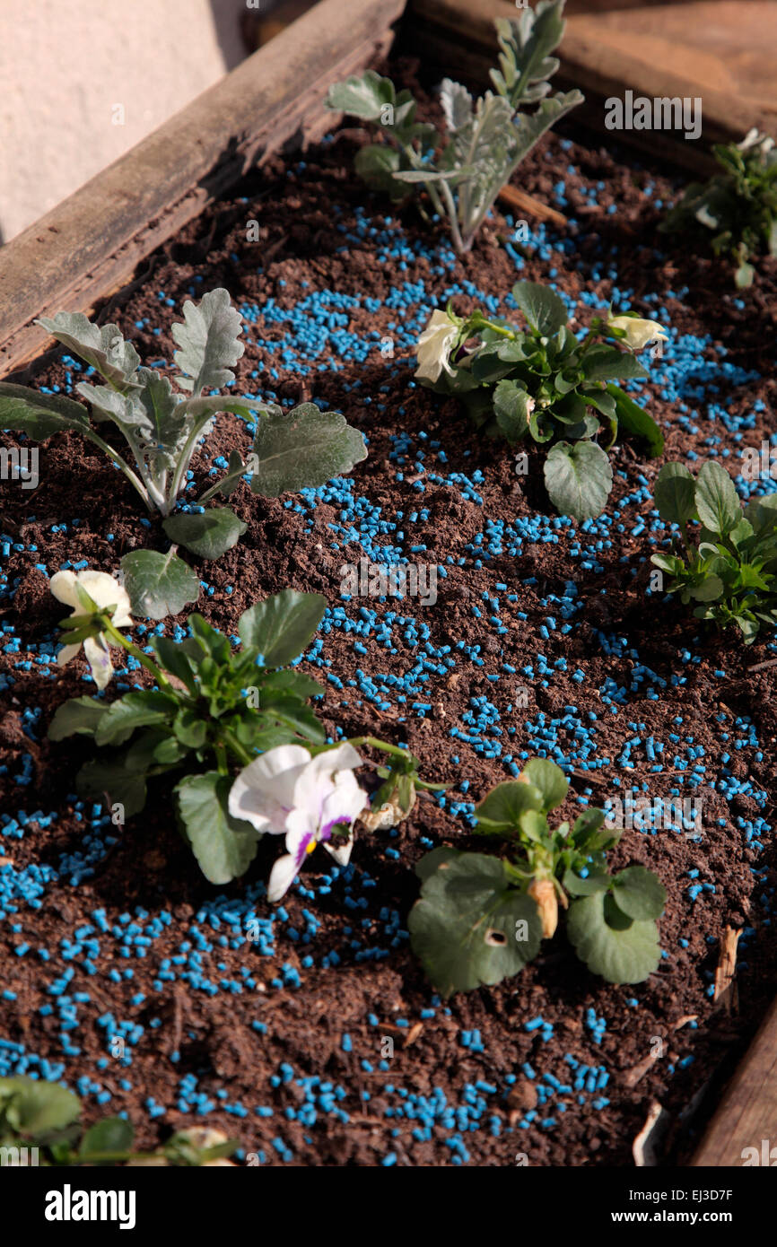 Slug pellets hi-res stock photography and images - Alamy