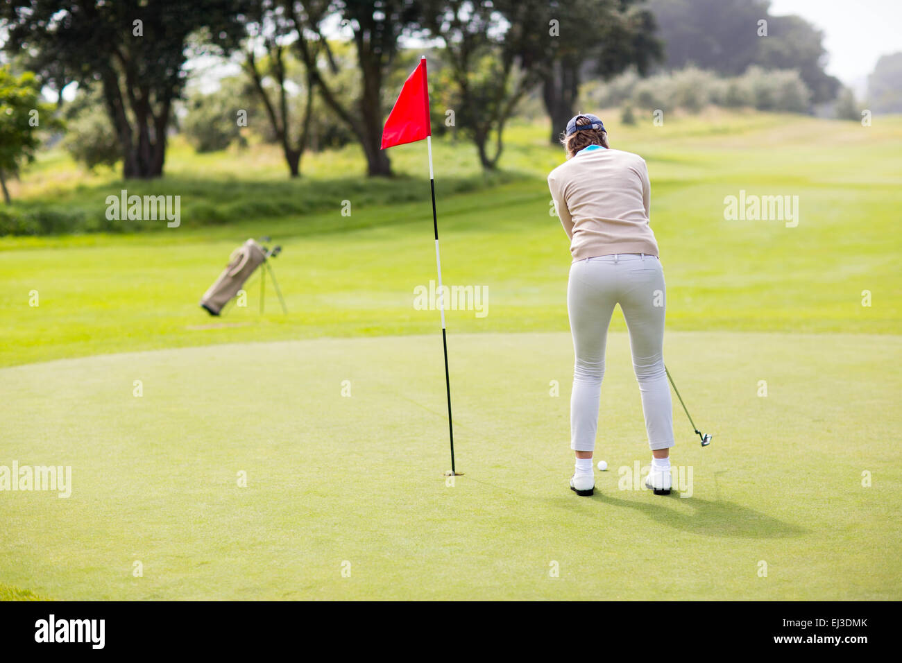 Female golfer putting her ball Stock Photo - Alamy