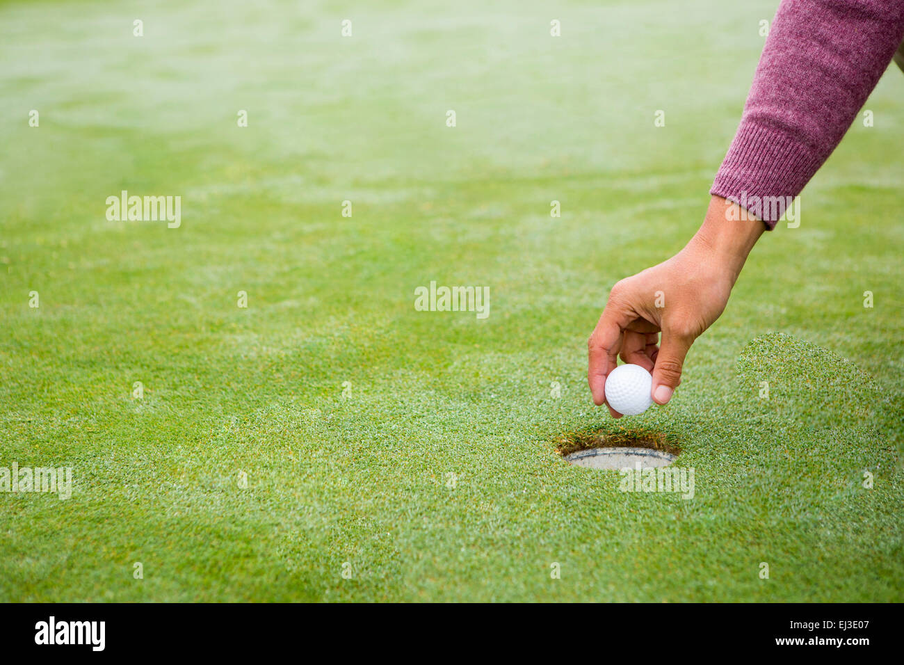 Golfer trying to flick ball into hole Stock Photo - Alamy