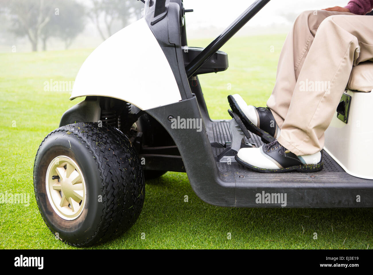 Golfer driving his golf buggy Stock Photo - Alamy