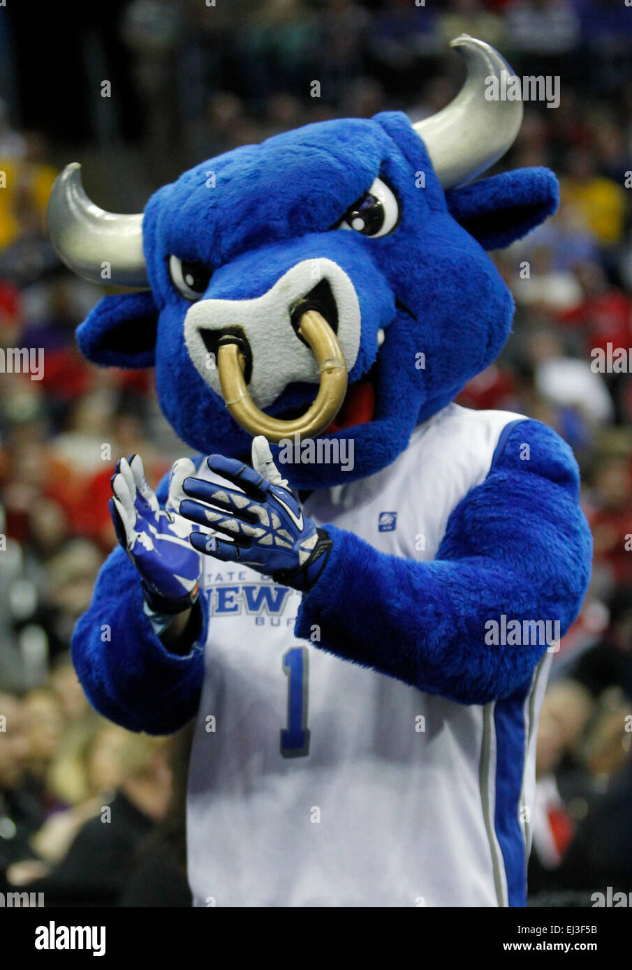 Buffalo Bulls mascot ''Victor E. Bull applauds the Buffalo Bulls ...