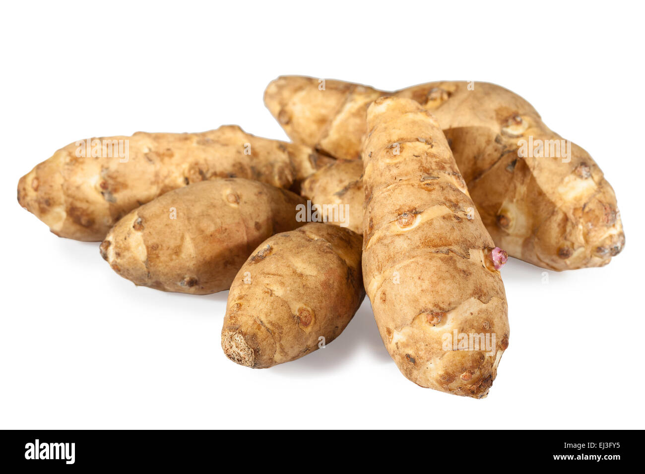 Topinambur hi-res stock photography and images - Alamy