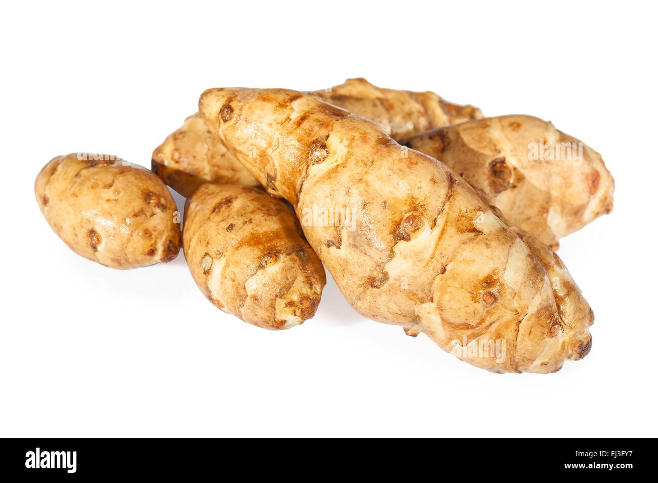sunroot tubers or topinambur (Helianthus tuberosus Stock Photo - Alamy