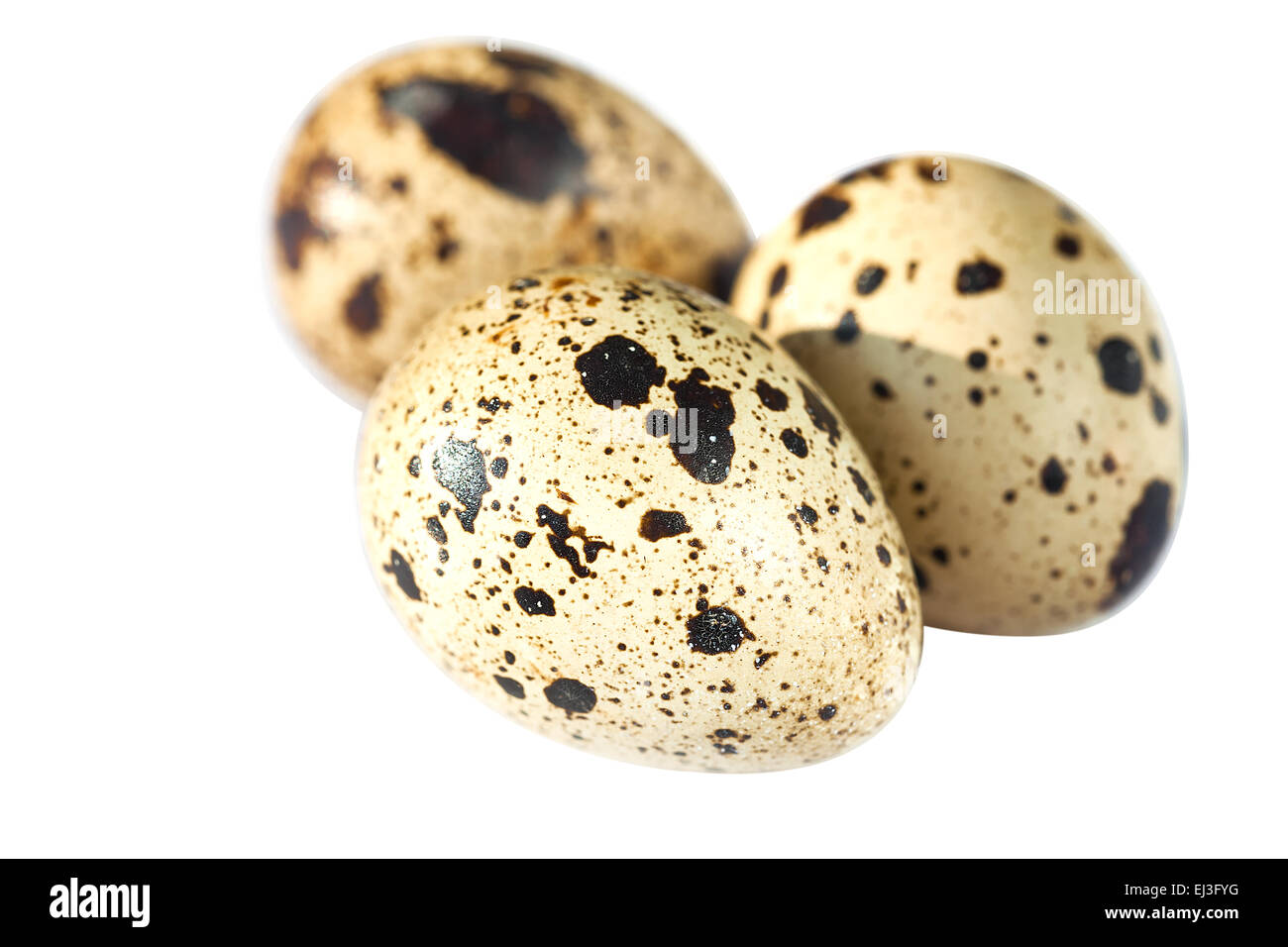 Quail eggs hi-res stock photography and images - Alamy