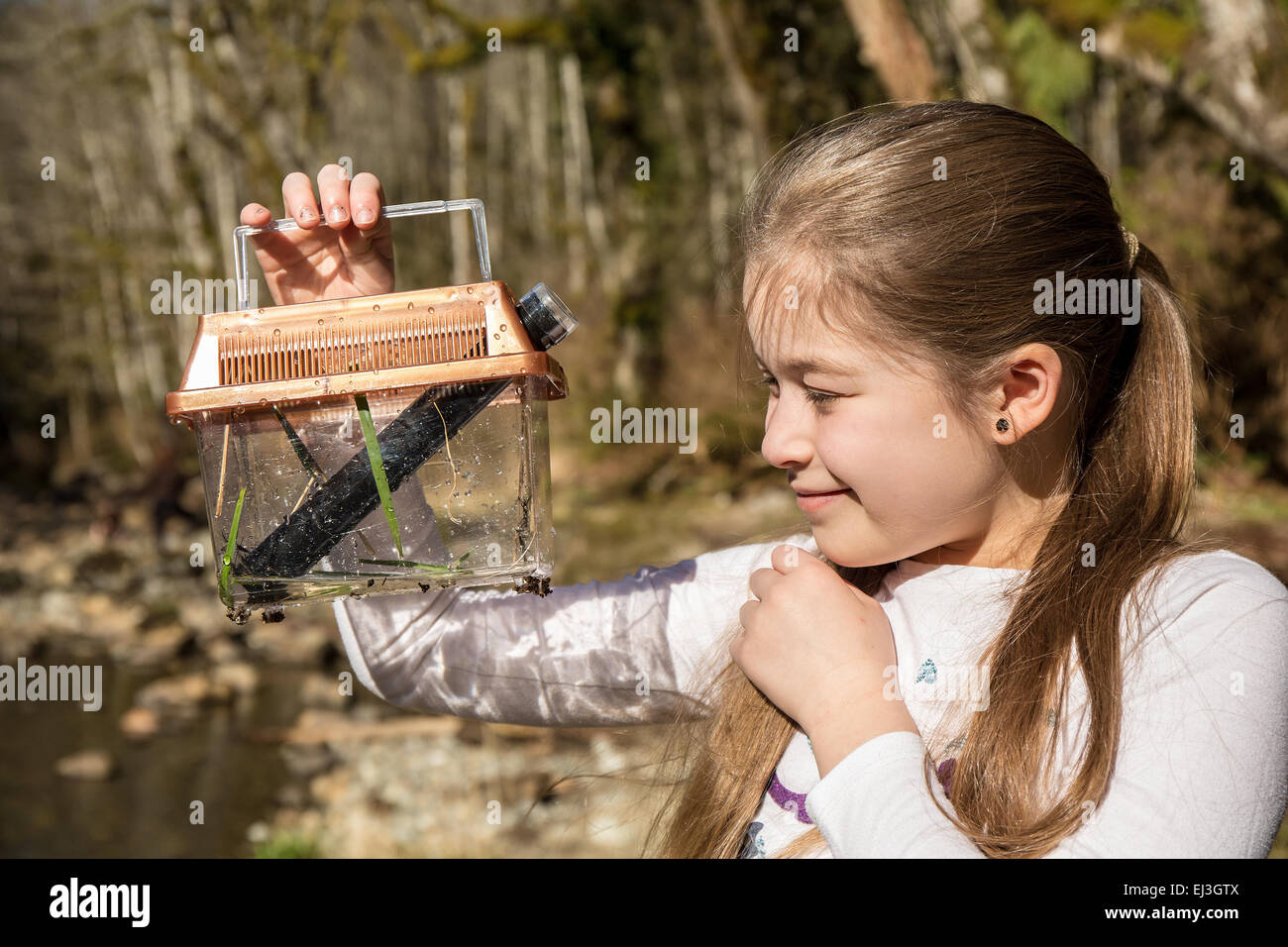 Nine year old girl admiring freshly caught insects in her bug box, by ...
