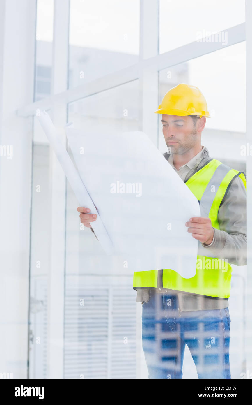 Architect reading blueprint in office Stock Photo - Alamy