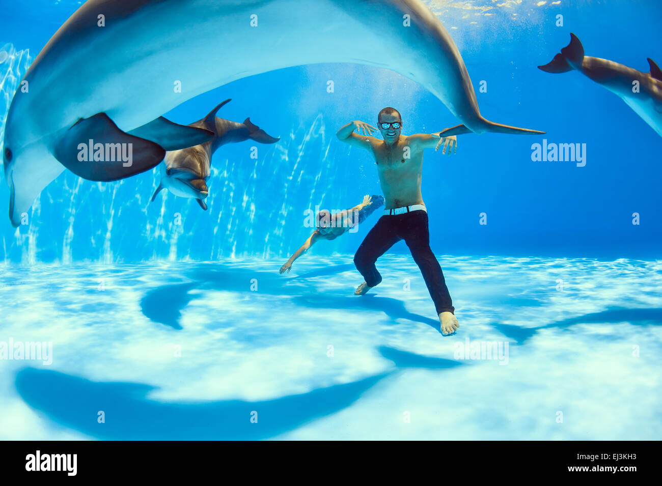 Underwater dolphin hi-res stock photography and images - Alamy