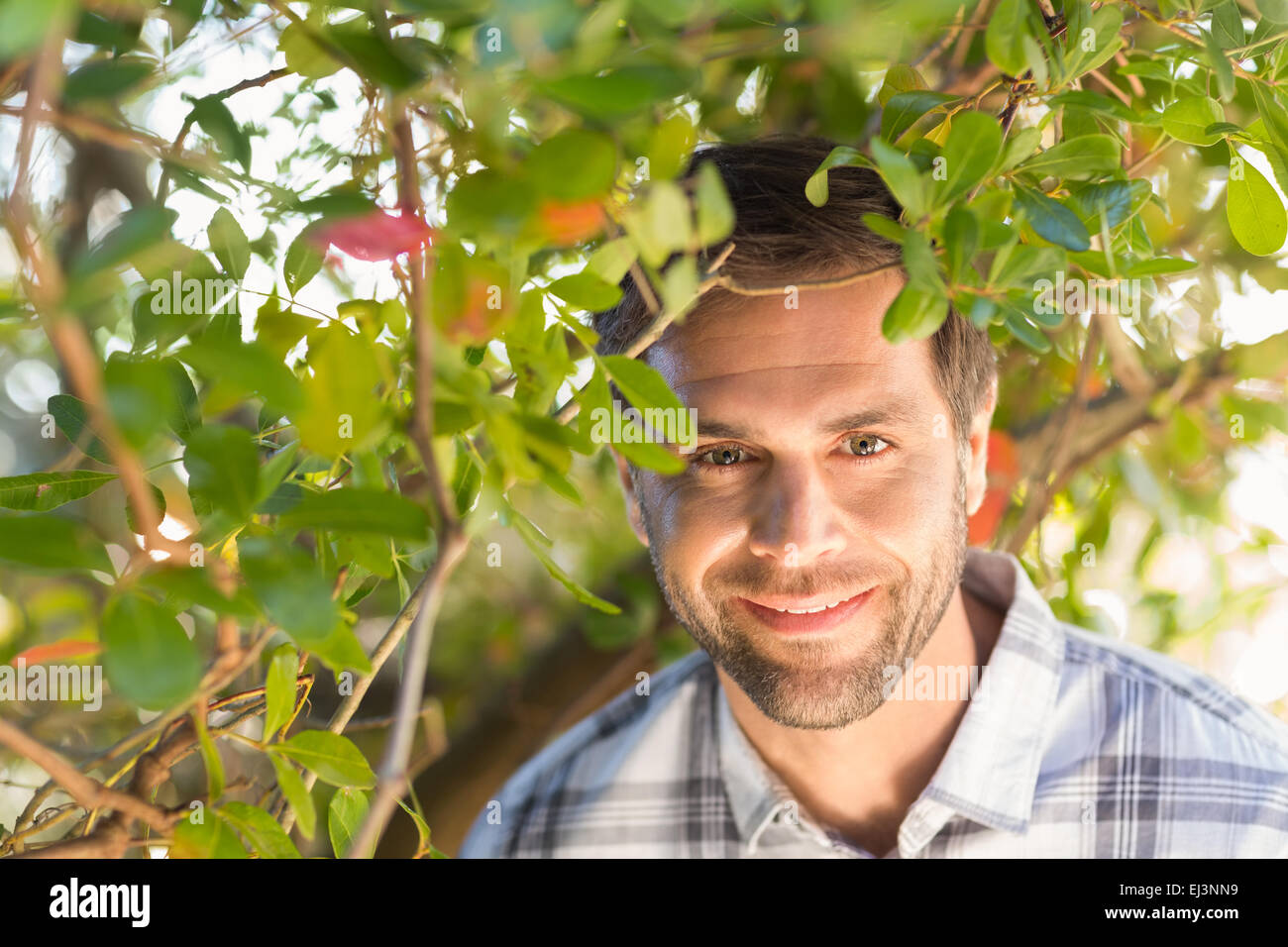 Happy man smiling at camera Stock Photo - Alamy