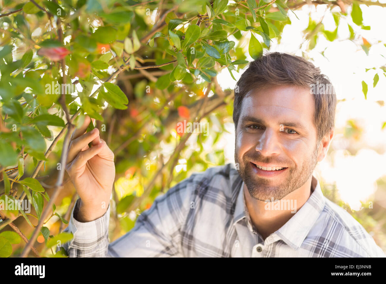Happy man smiling at camera Stock Photo - Alamy