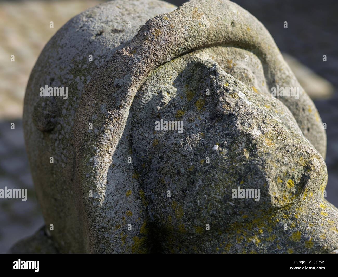 Soldier head hi-res stock photography and images - Alamy