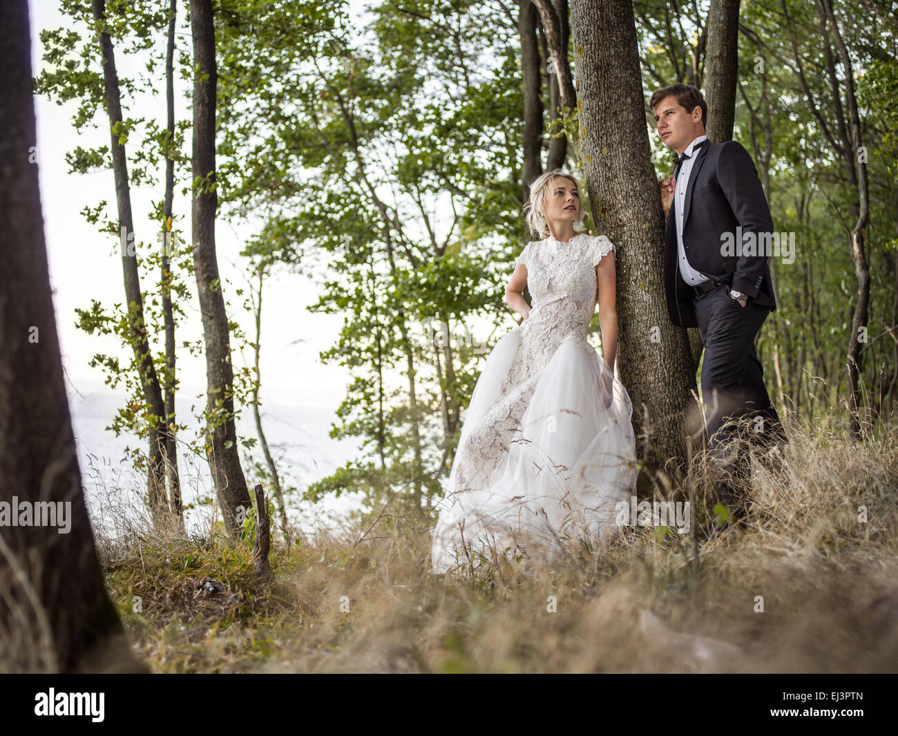 View wedding tree hi-res stock photography and images - Alamy