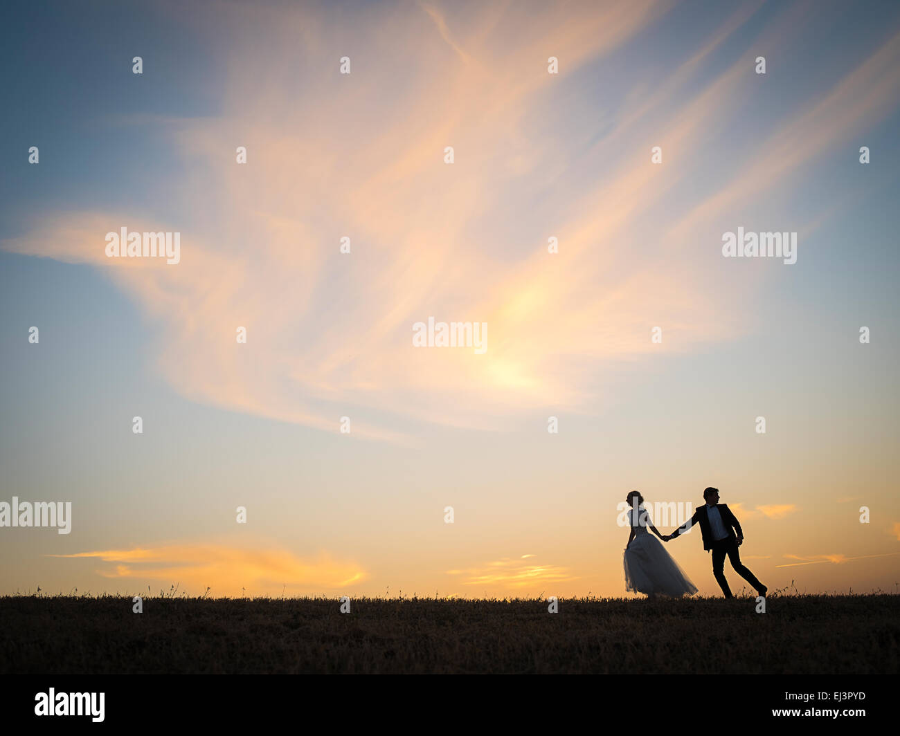 Young wedding couple goes on a field Stock Photo - Alamy