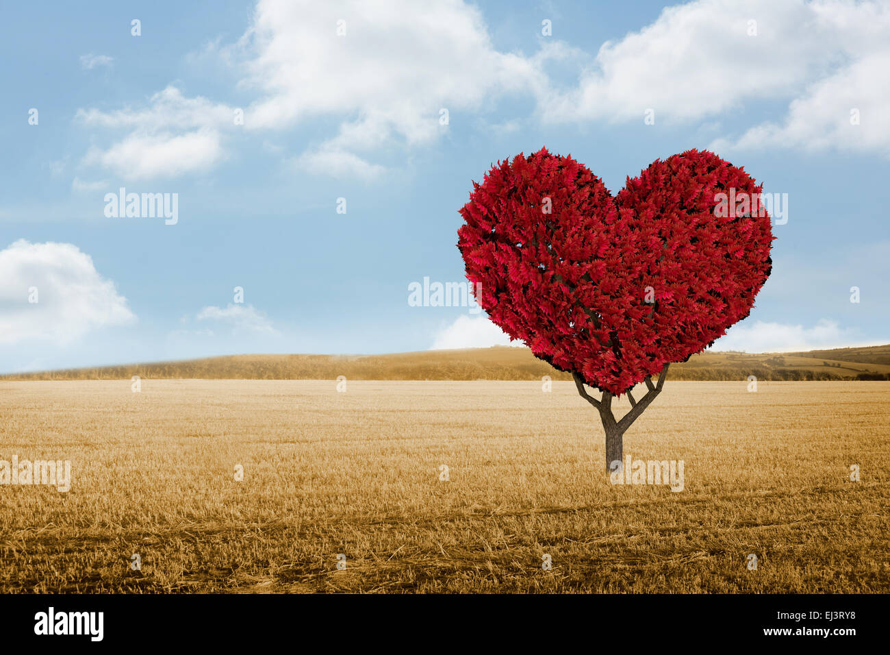 Composite image of love heart plant Stock Photo - Alamy