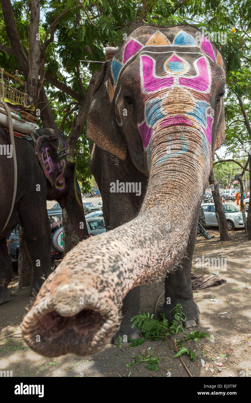 Traditional indian textile elephant pattern hi-res stock photography ...