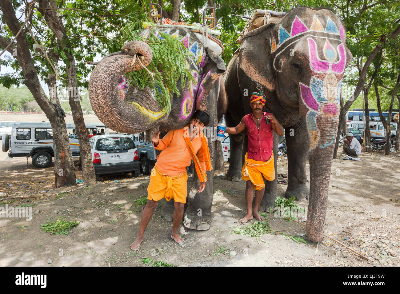 Traditional indian textile elephant pattern hi-res stock photography ...
