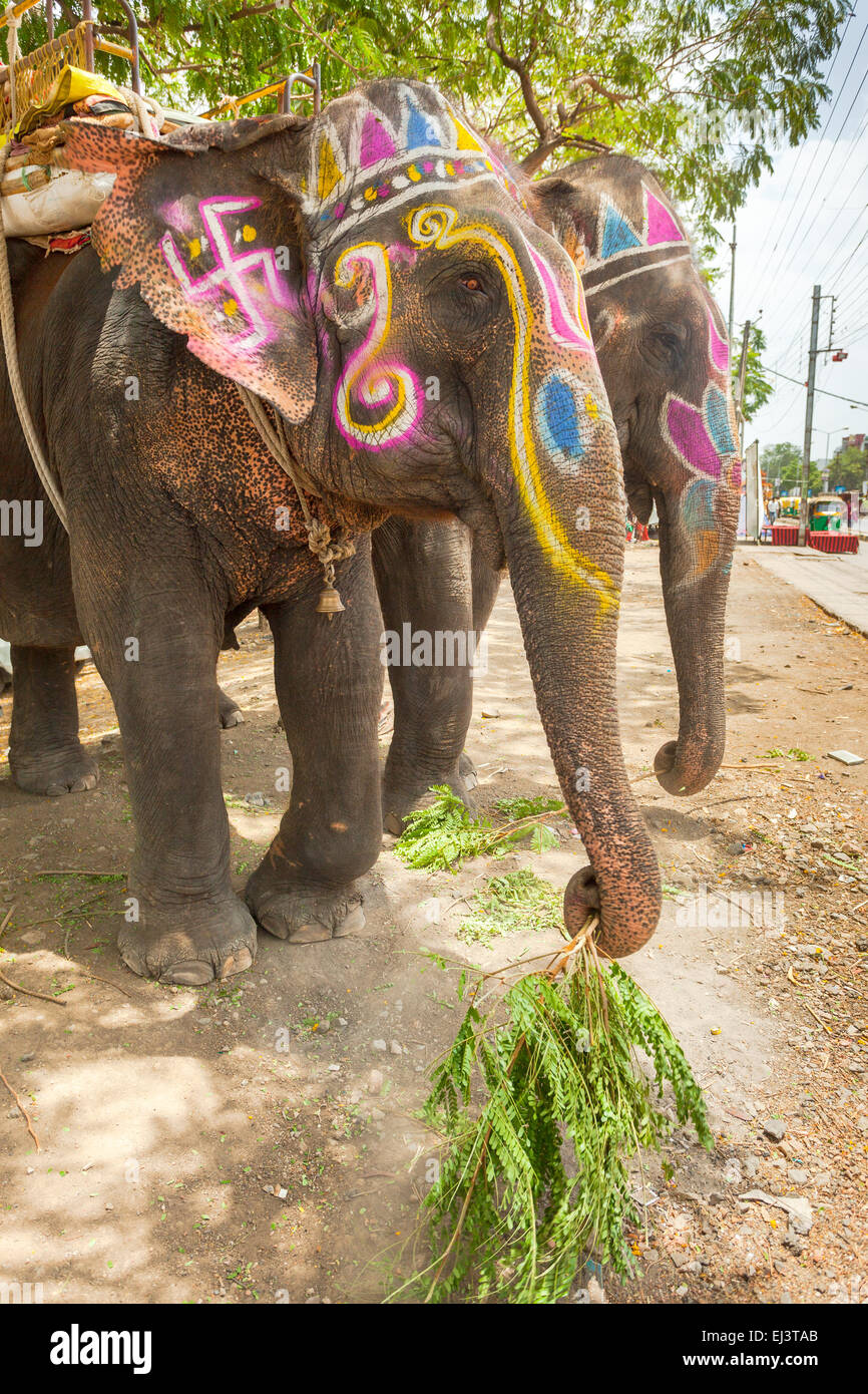 Traditional indian textile elephant pattern hi-res stock photography ...