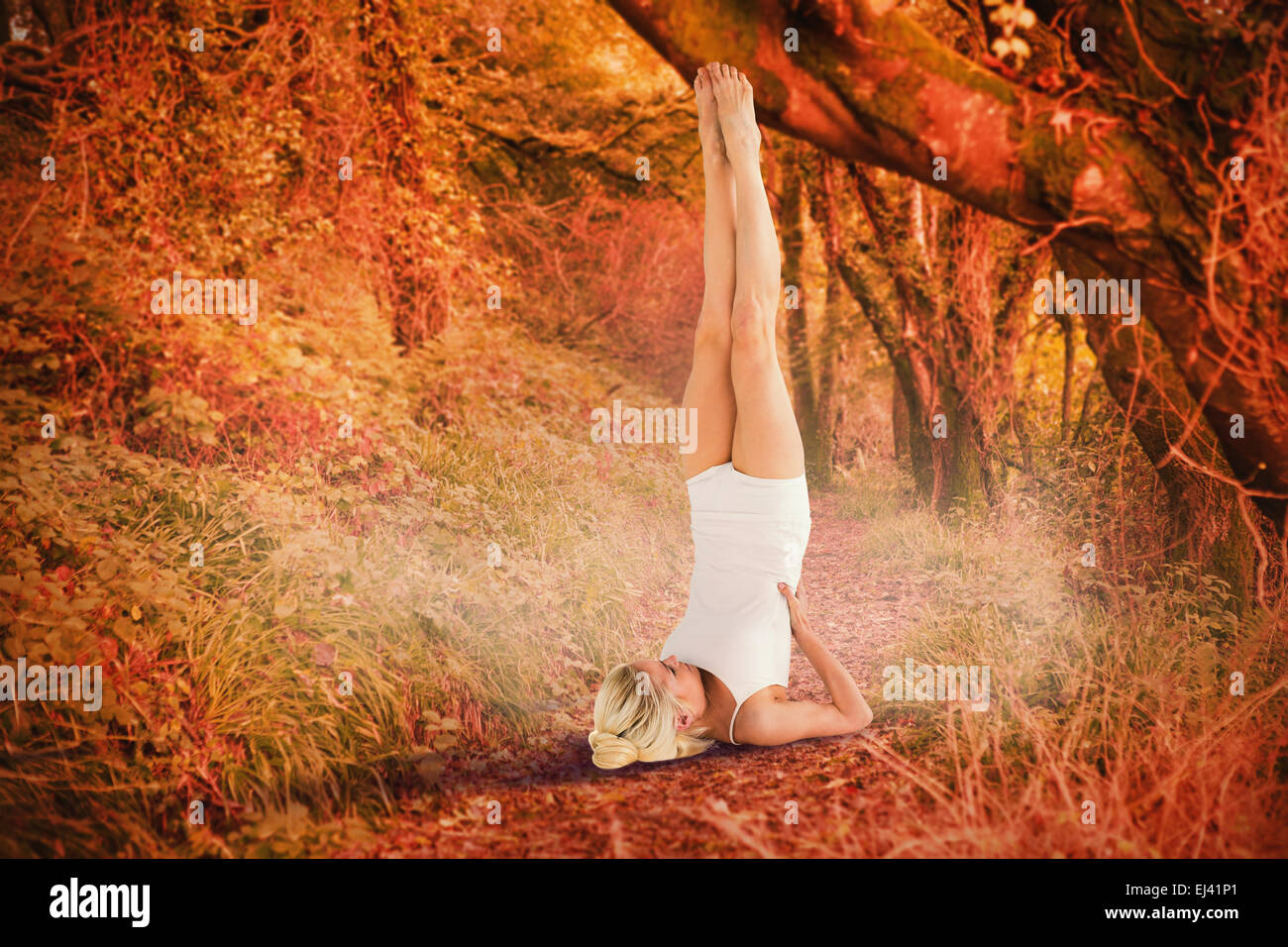 Composite image of fit young woman doing the shoulder stand pose Stock ...