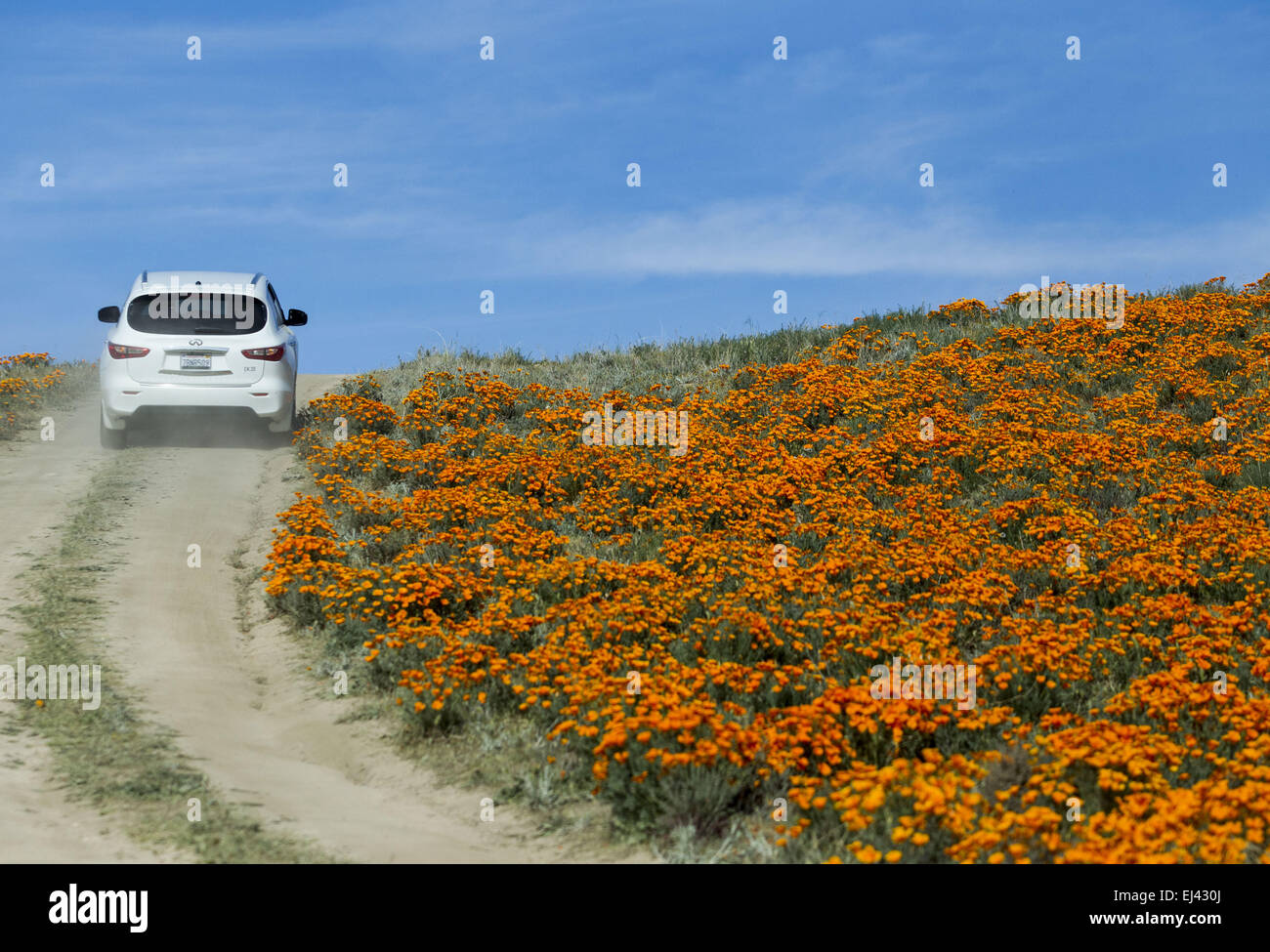Los Angeles, California, USA. 20th Mar, 2015. A SUV passes by a field ...