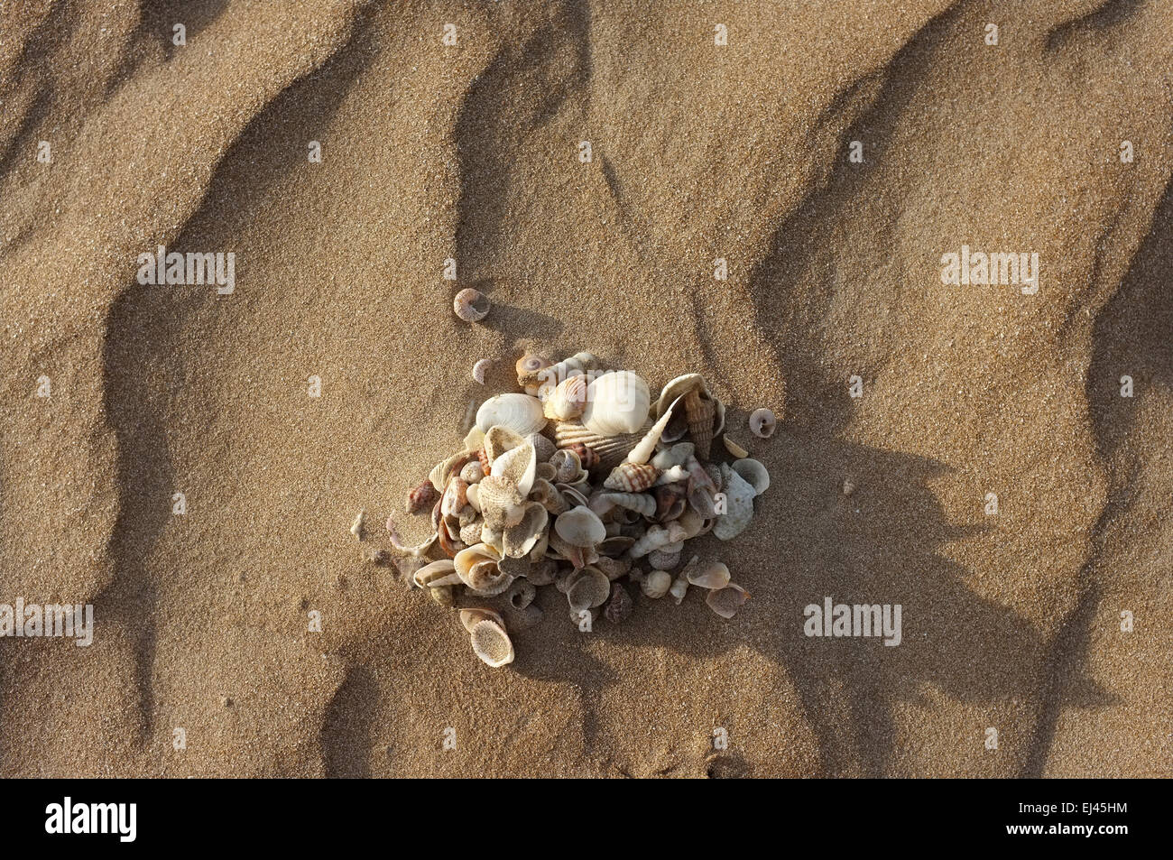 Cluster of sand hi-res stock photography and images - Alamy