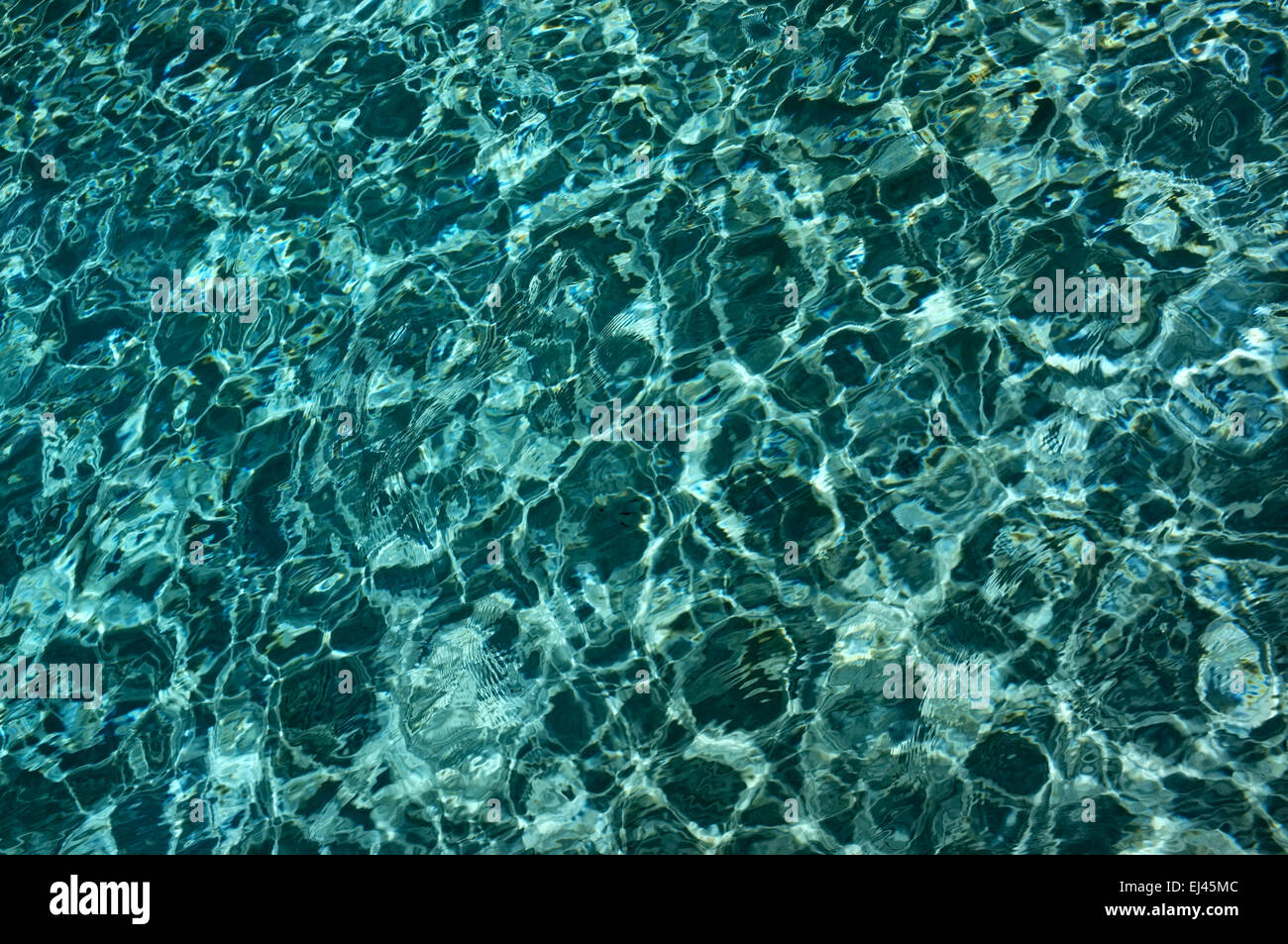 Water in a swimming pool Stock Photo - Alamy