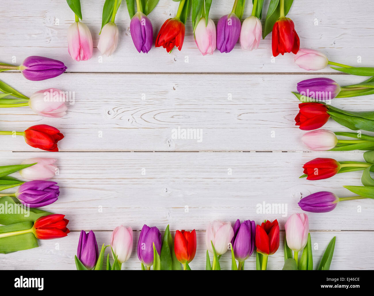 Tulips frame hi-res stock photography and images - Alamy