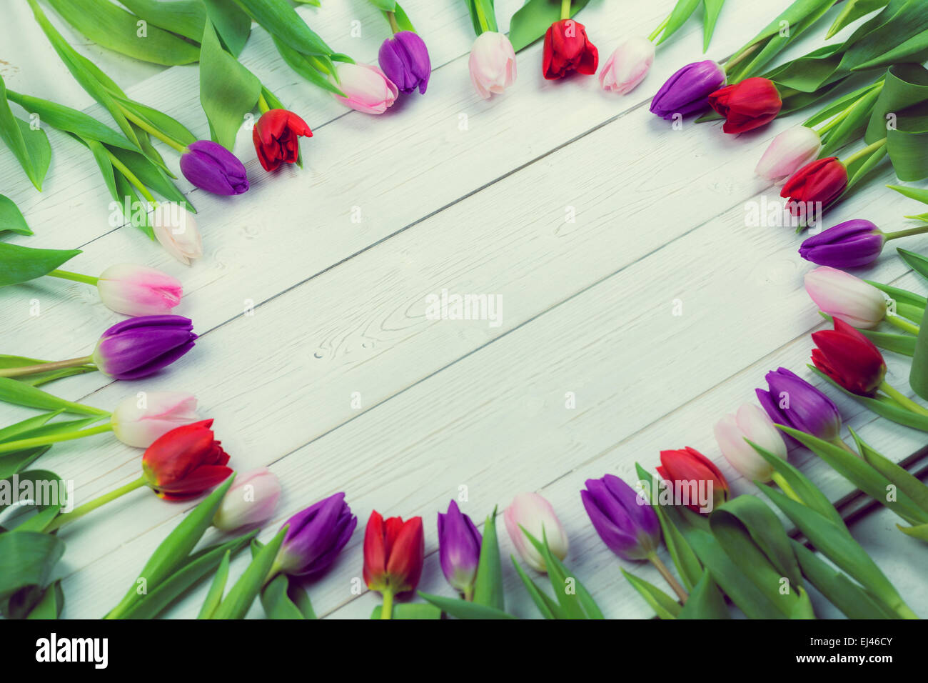 Tulips frame hi-res stock photography and images - Alamy