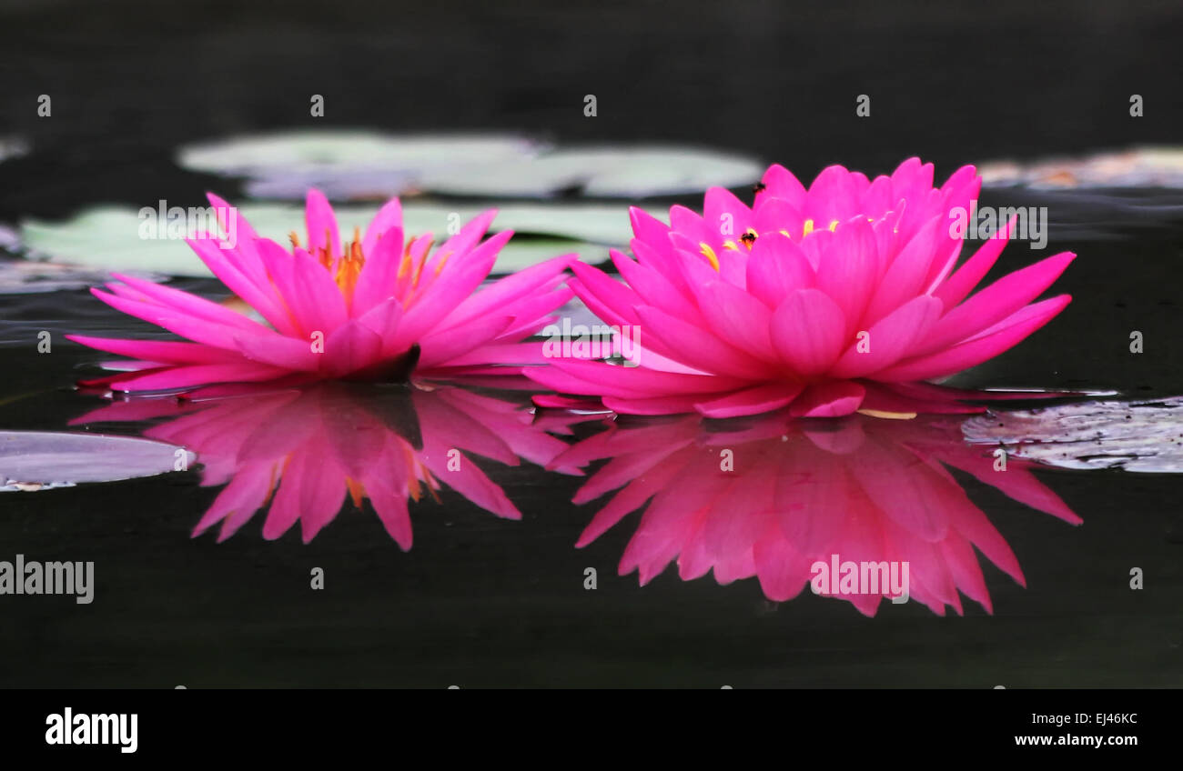 Religion and nature hi-res stock photography and images - Alamy