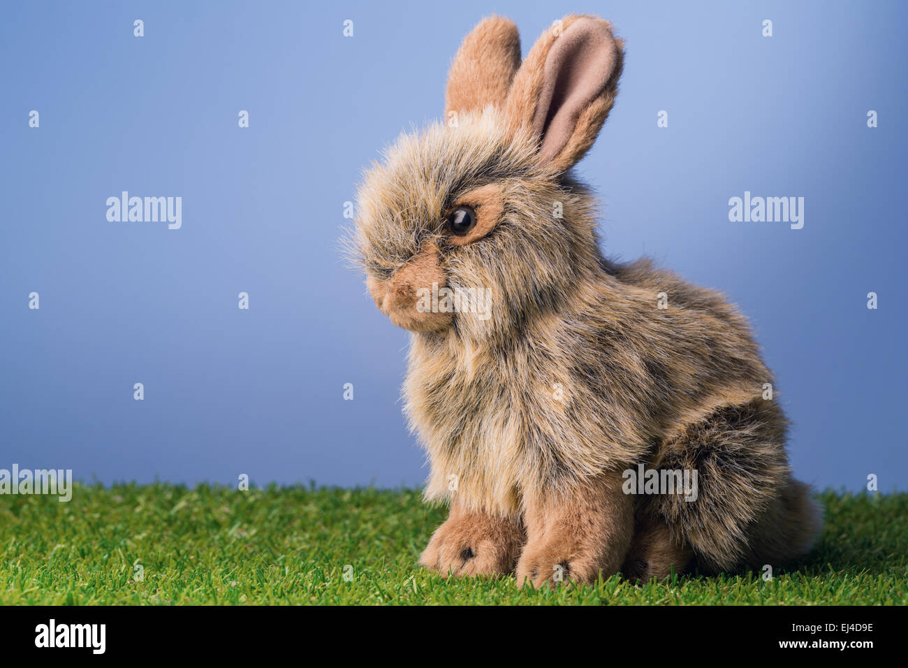 Grey bunny hi-res stock photography and images - Alamy