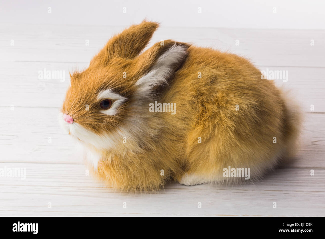 Ginger bunny rabbit Stock Photo - Alamy