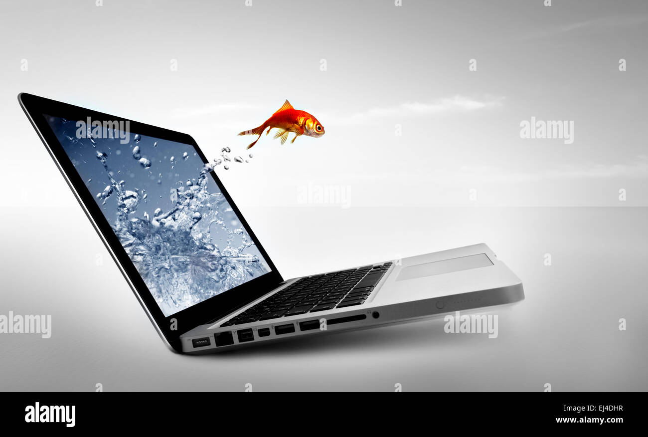 Gold fish jumping out screen hi-res stock photography and images - Alamy