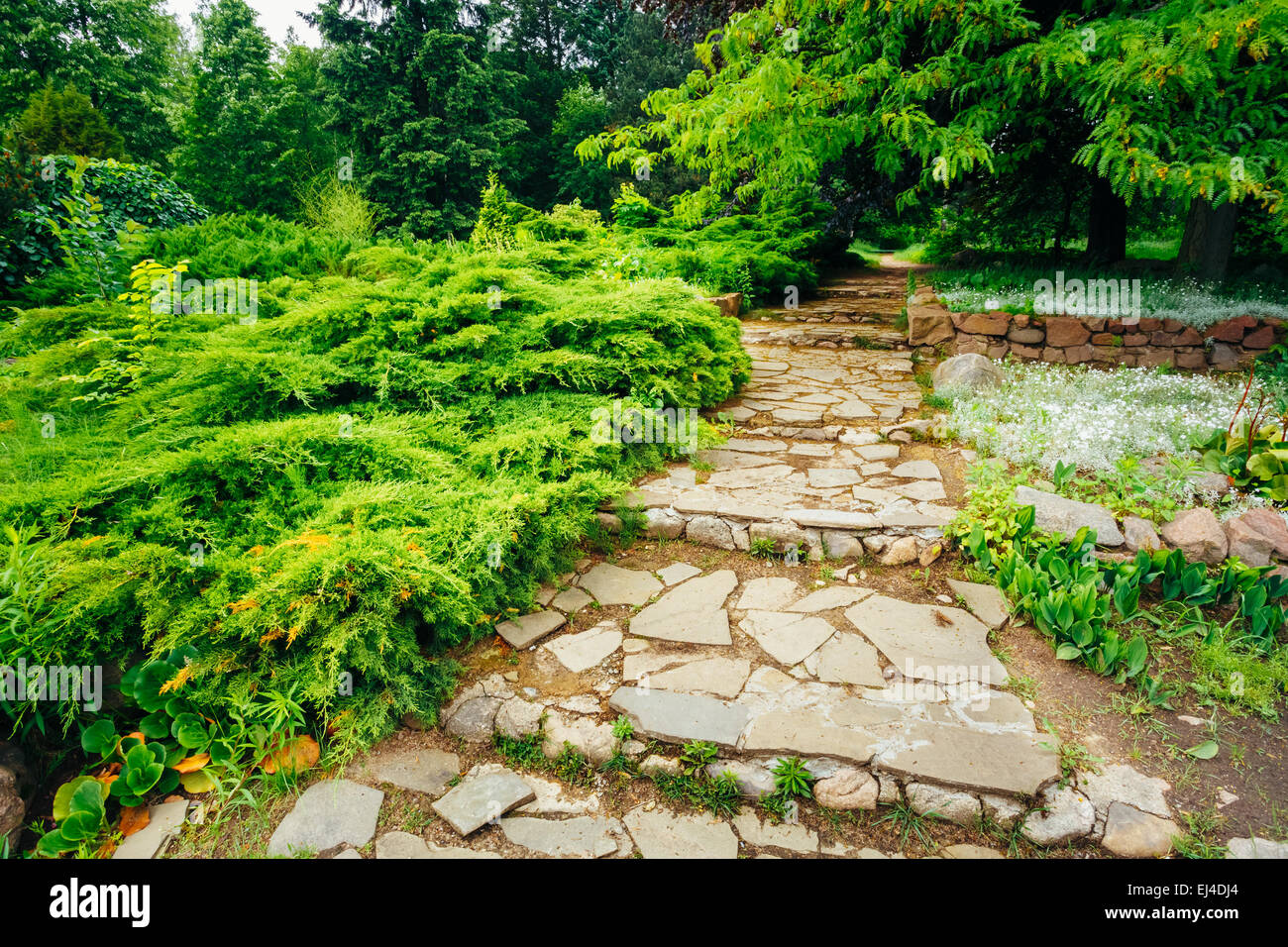 Stone Pathway Walkway Lane Path With Green Trees And Bushes In Garden ...