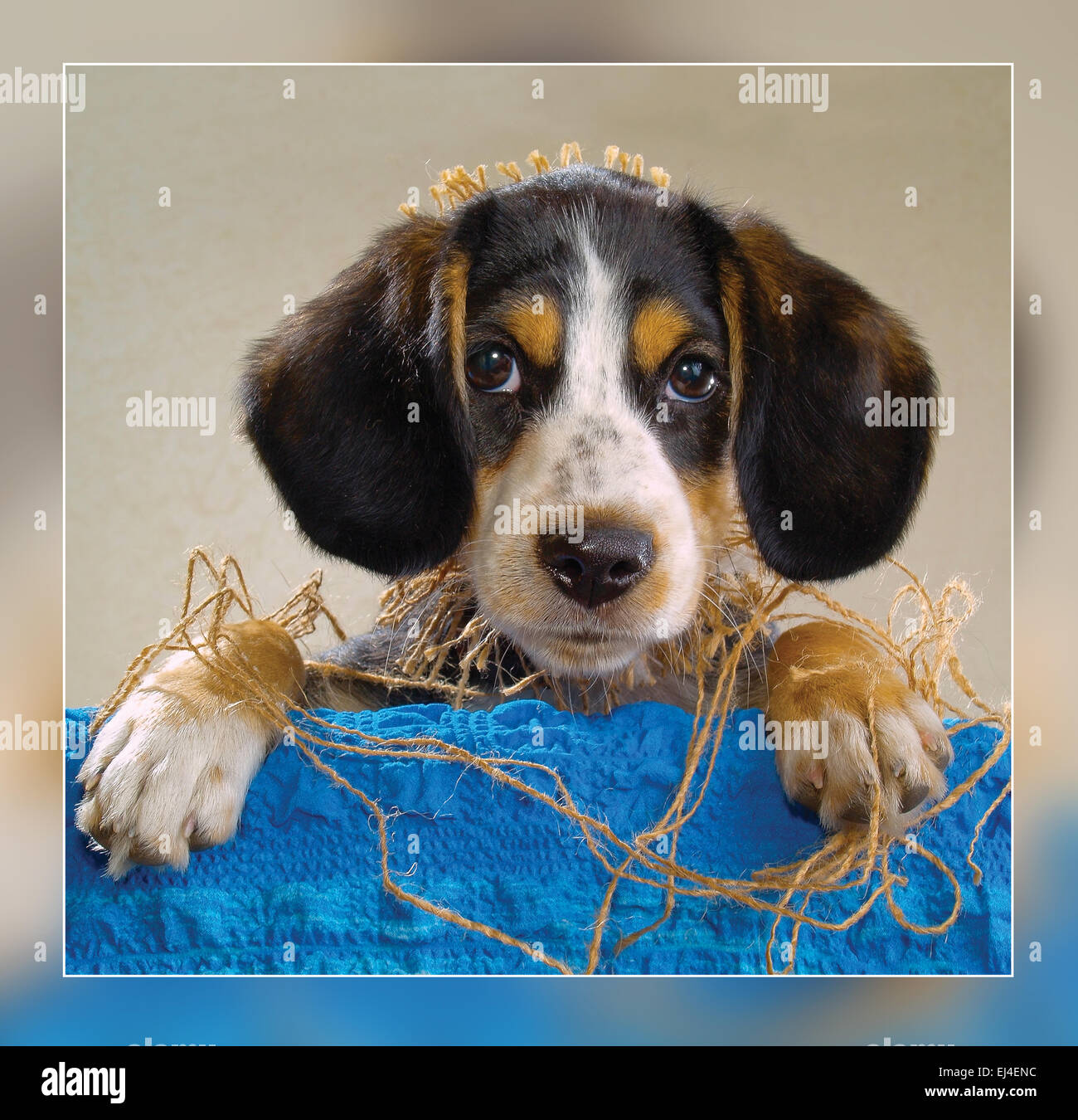 Tangled rope hi-res stock photography and images - Alamy