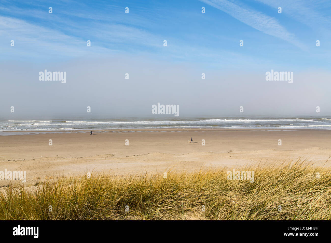 Beach, North Sea coast, Bergen aan Zee, North Holland, Netherlands ...