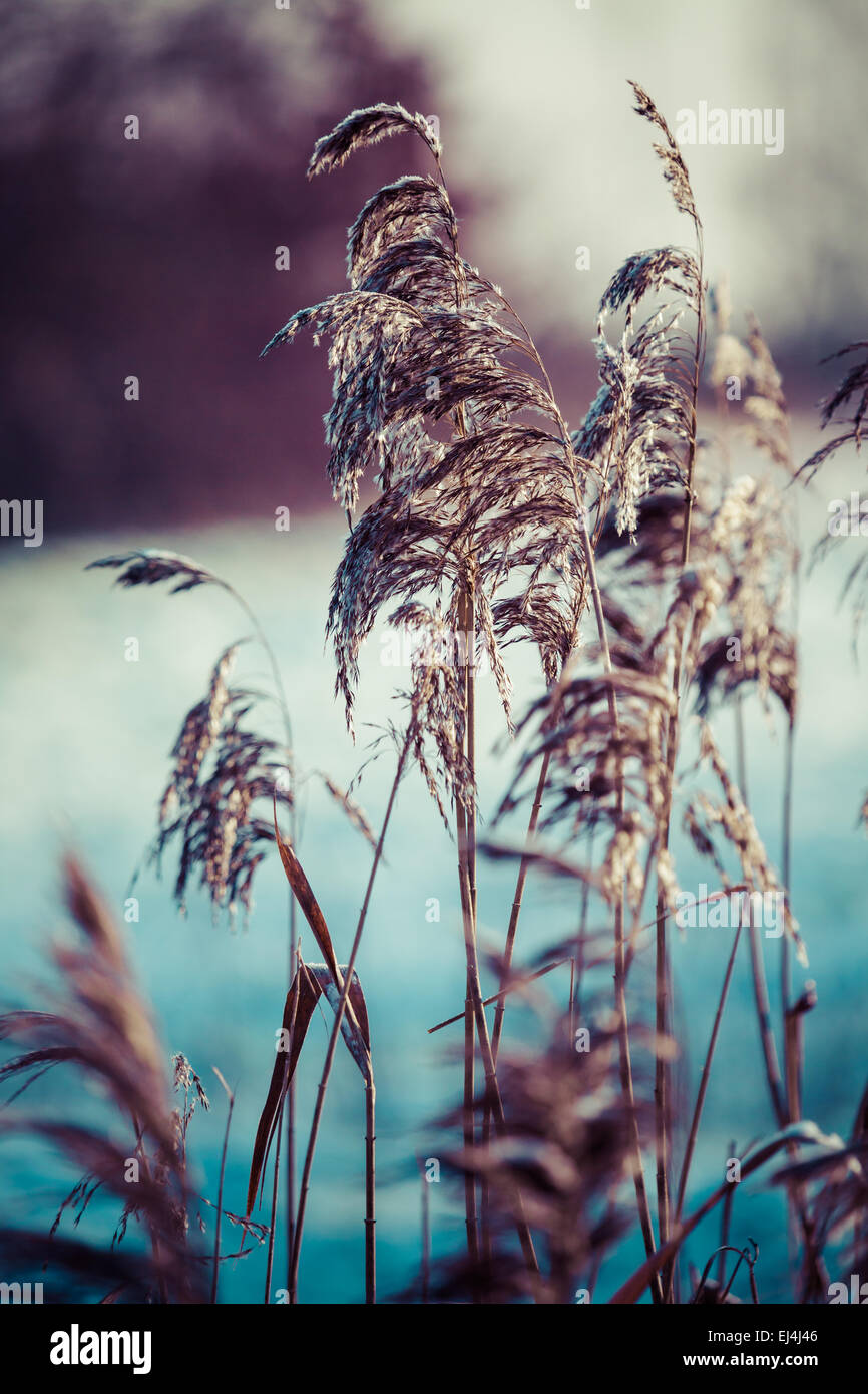 Winter time landscape in Poland Stock Photo - Alamy