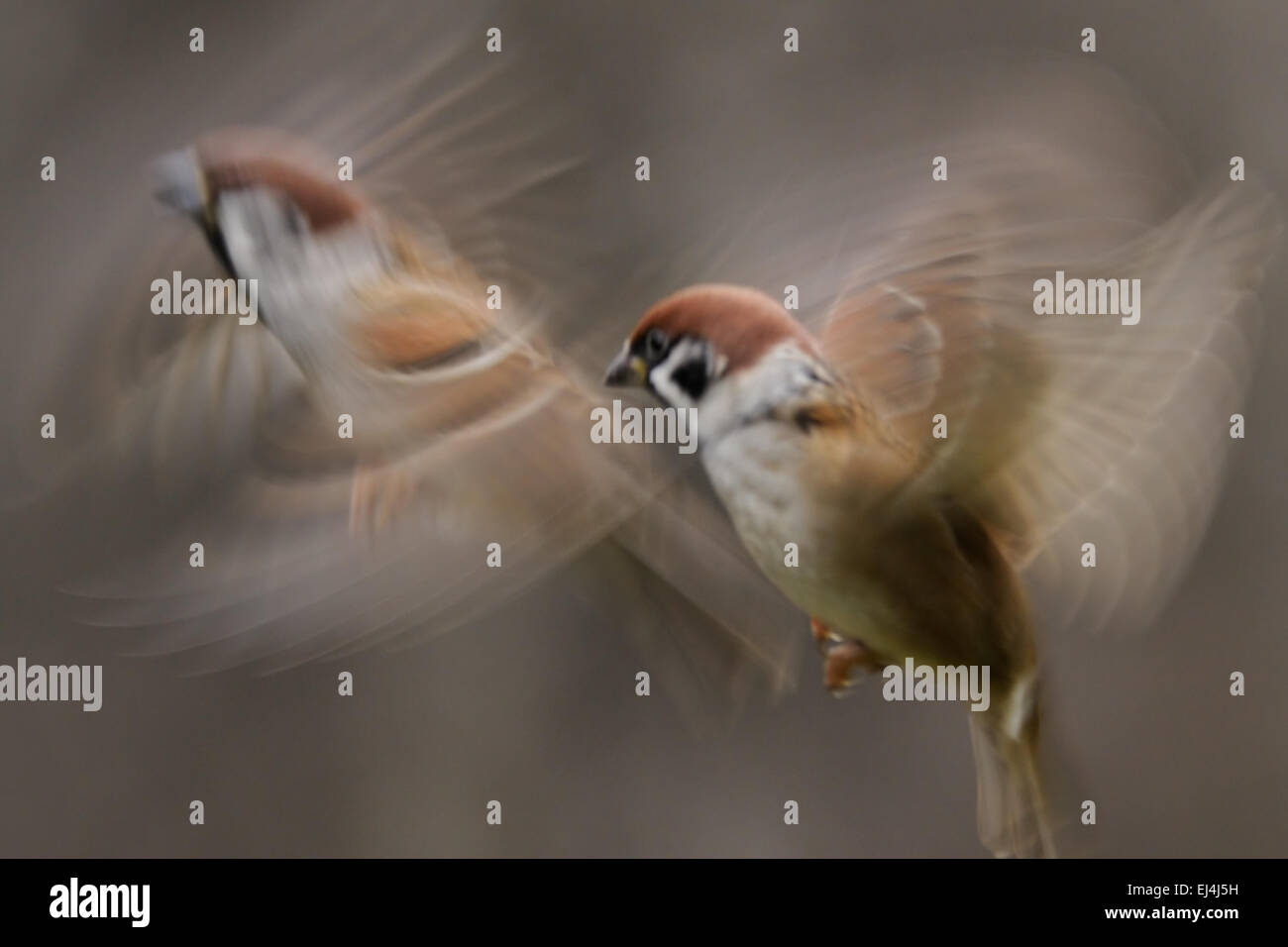 Swift rotation hi-res stock photography and images - Alamy