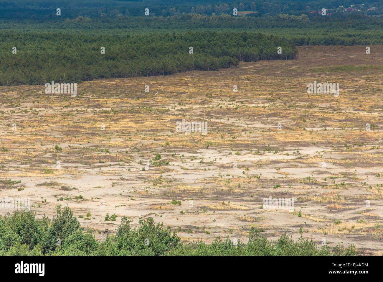 Amazing view from the hill Czubatka, Poland Stock Photo - Alamy