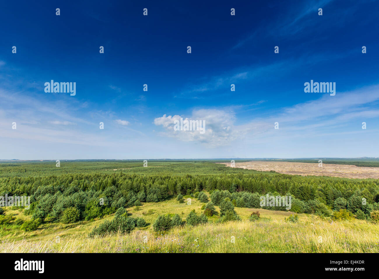 Amazing view from the hill Czubatka, Poland Stock Photo - Alamy