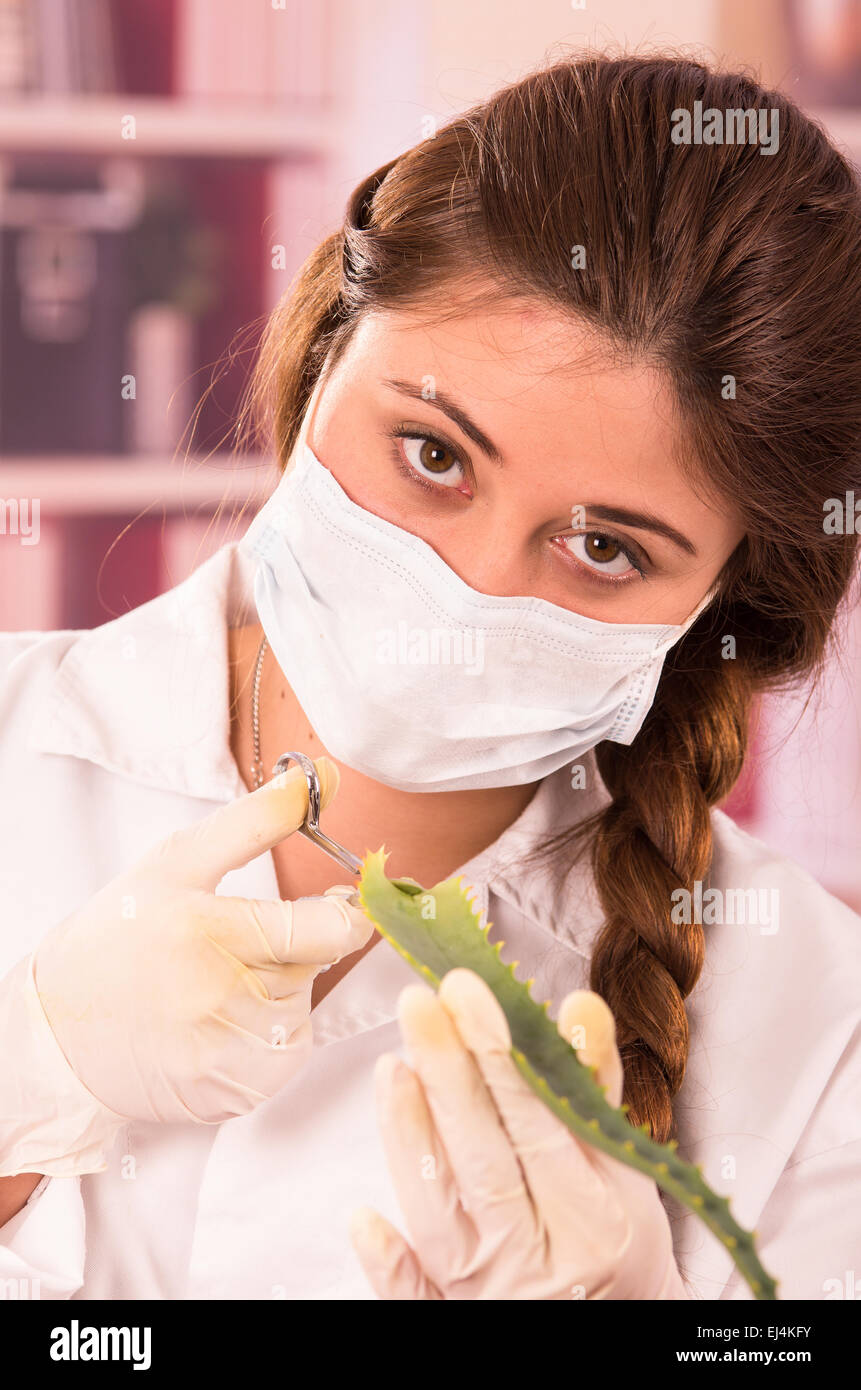 young beautiful woman biologist experimenting with green leaf Stock ...