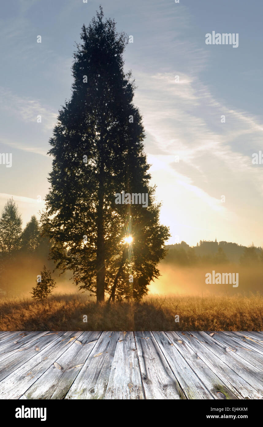 Wood terrace and perspective view on sunrise Stock Photo - Alamy