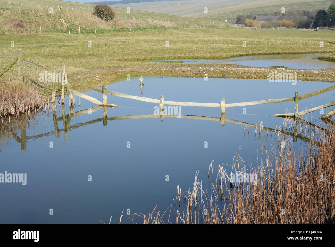 Sussex landscape hi-res stock photography and images - Alamy