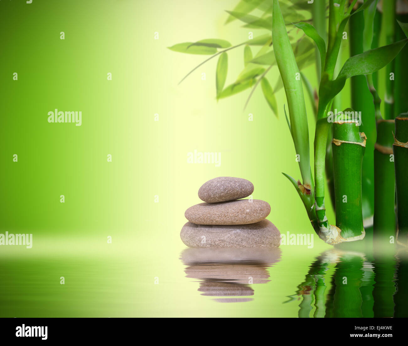 Green Zen Background