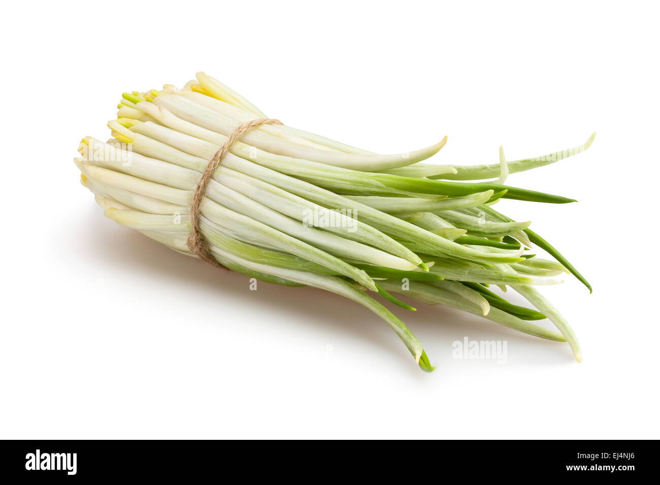 Ramson ramsons hi-res stock photography and images - Alamy